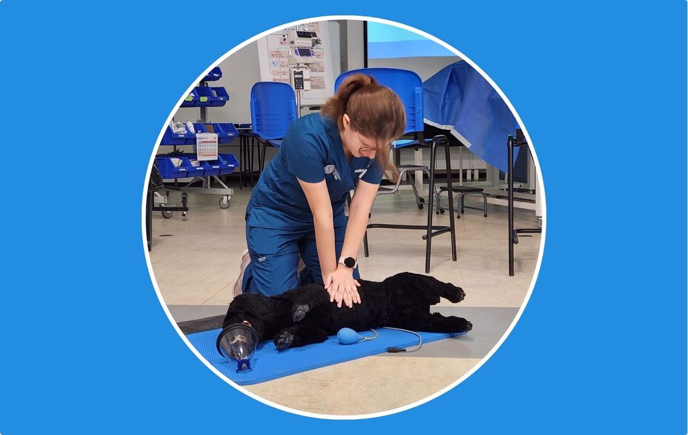 Workshop Certificación Rescuer BLS / ALS